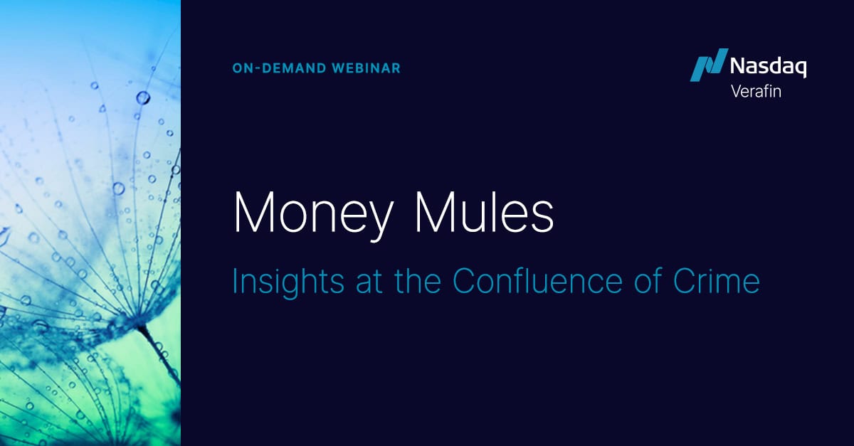 Money Mules: Insights at the Confluence of Crime