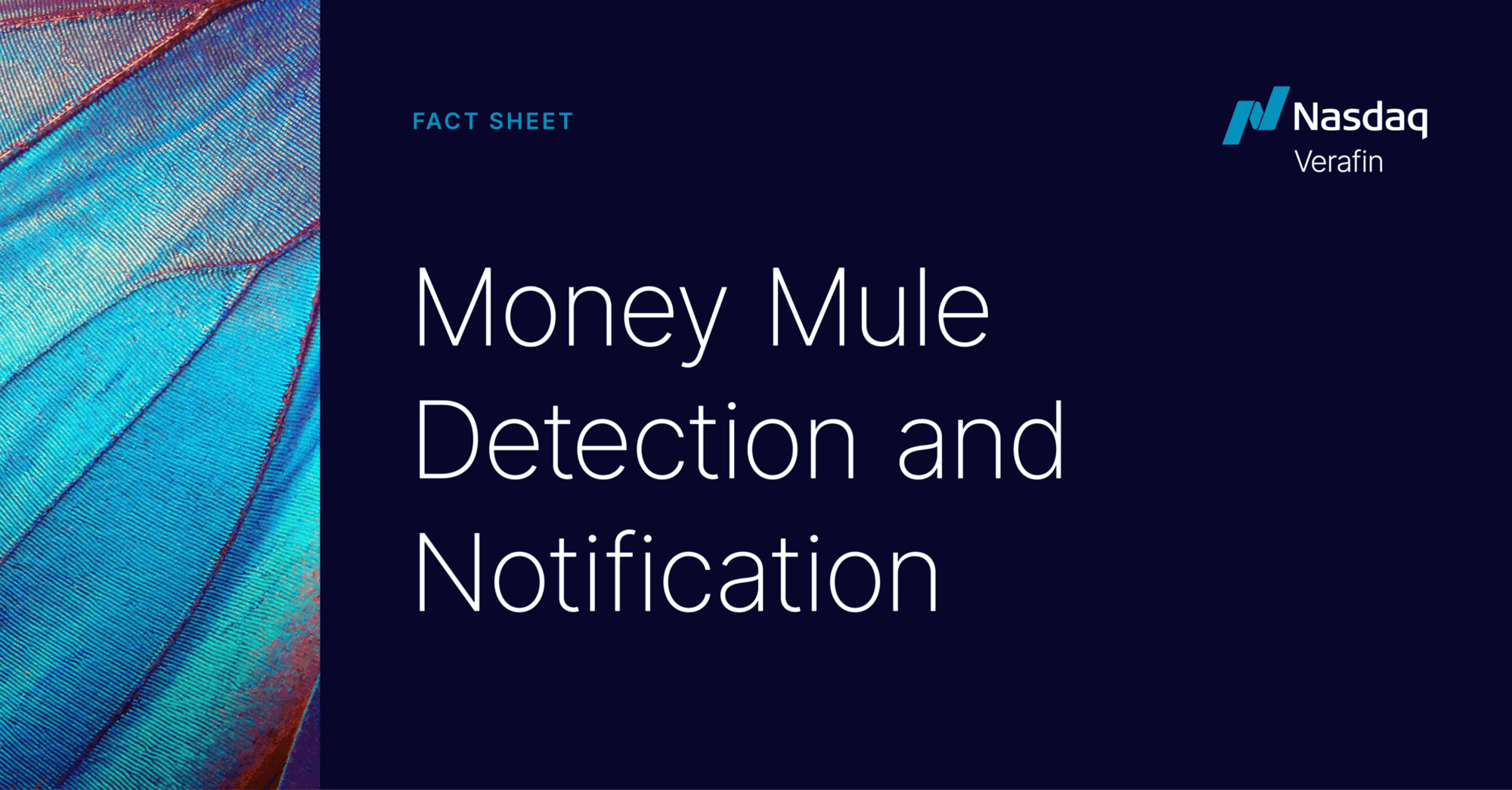 Money Mule Detection and Notification